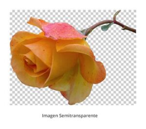 Optimizar imágenes al máximo con SuperPNG - WAKA